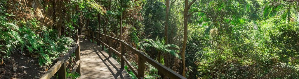 Cania Gorge & National Park - Monto Magic