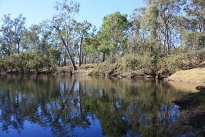 The Bunyip Legend of Mulgildie - Monto Magic