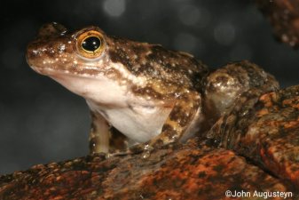 Tourist Attractions - Monto Magic